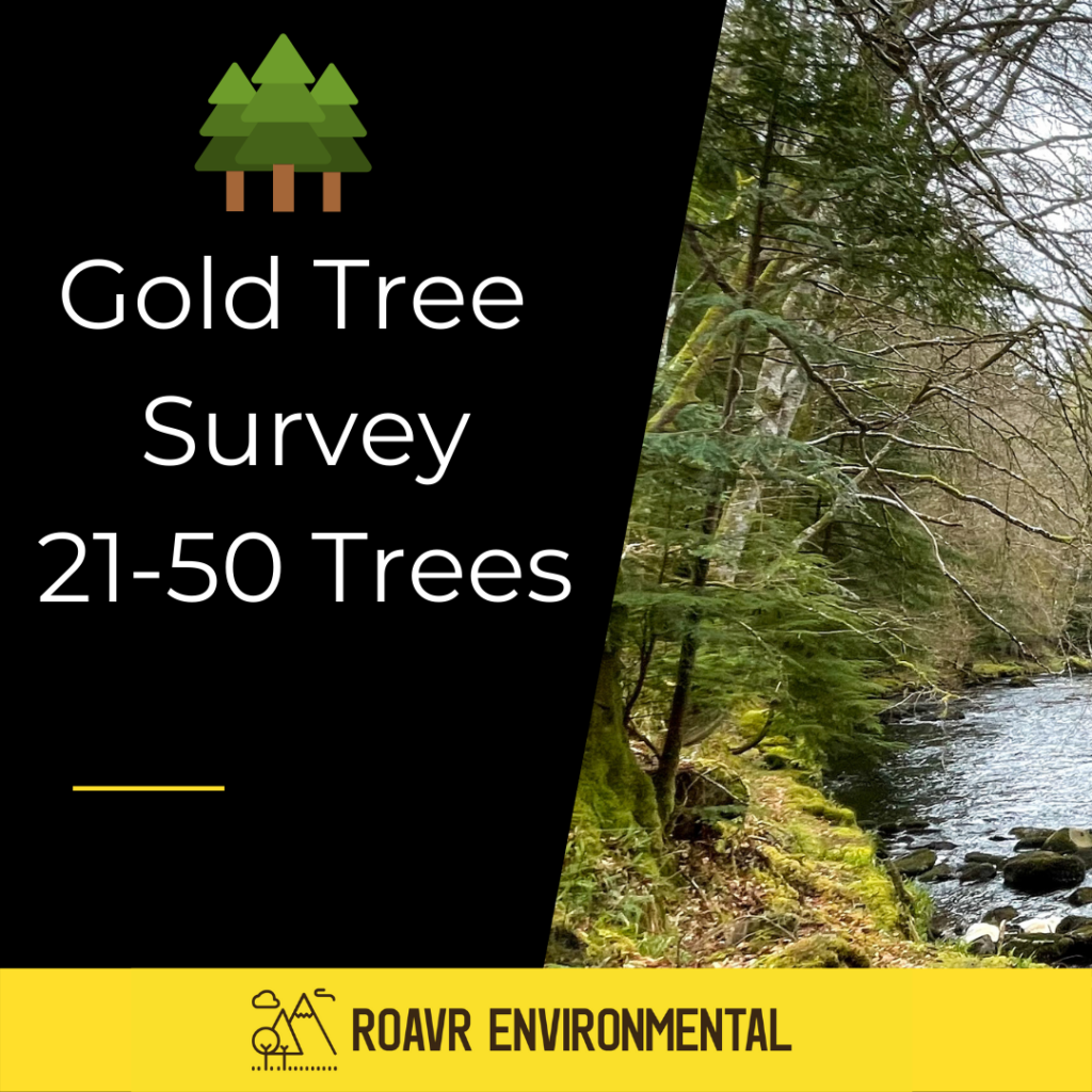 Gold Tree Survey 21 50 Trees Tree Surveys